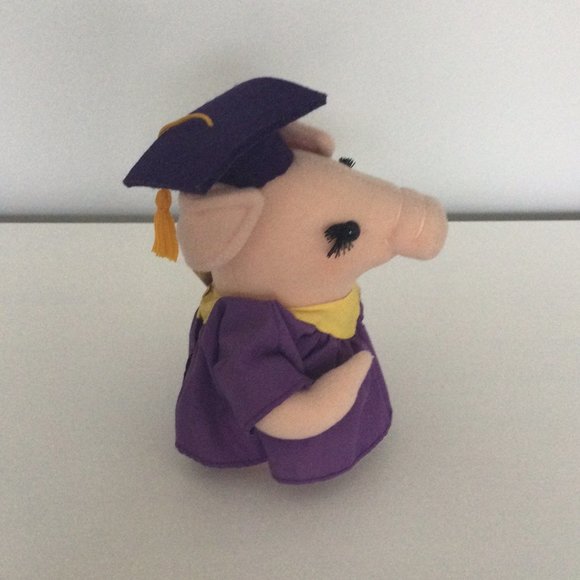 Party Supplies | Graduation Graduate Plush Pig With Diploma | Poshmark